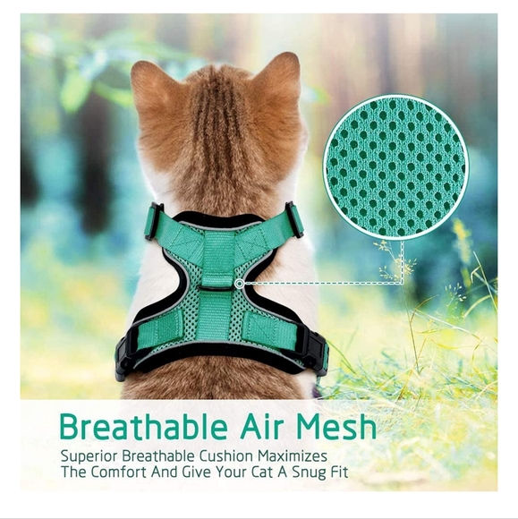 Rabbitgoo | Cat | New Rabbitgoo Emerald Teal Cat Mesh Reflective Leash ...
